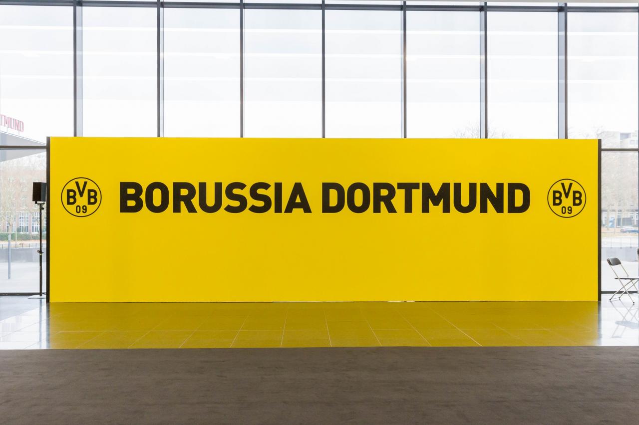 Dortmund appoint new academy director